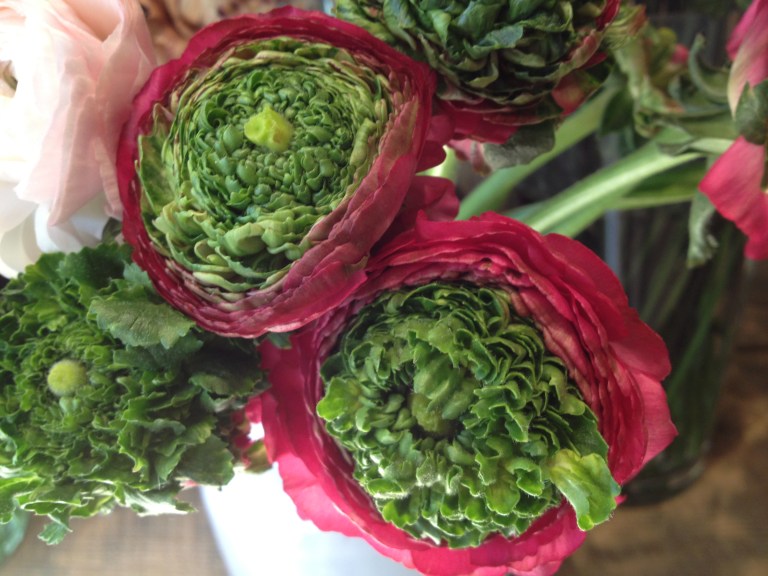 January | 2012 | roots to blooms