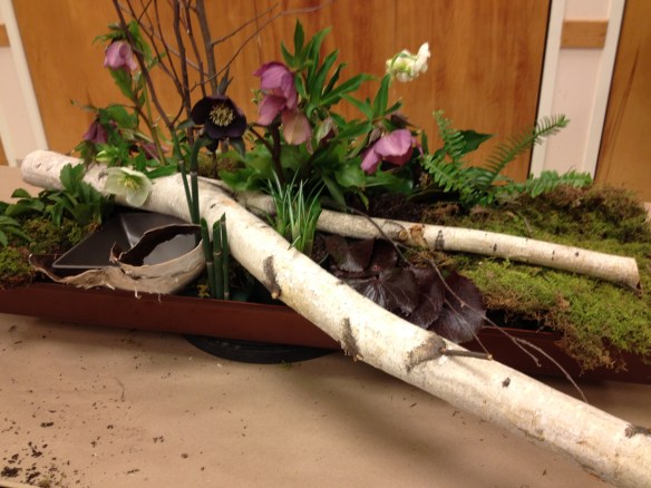 Vegetative Design | roots to blooms