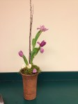 Vegetative Design | roots to blooms