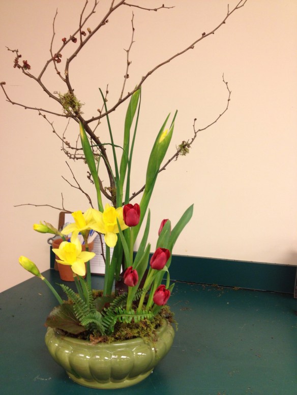 Vegetative Design | roots to blooms