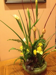 Vegetative Design | roots to blooms