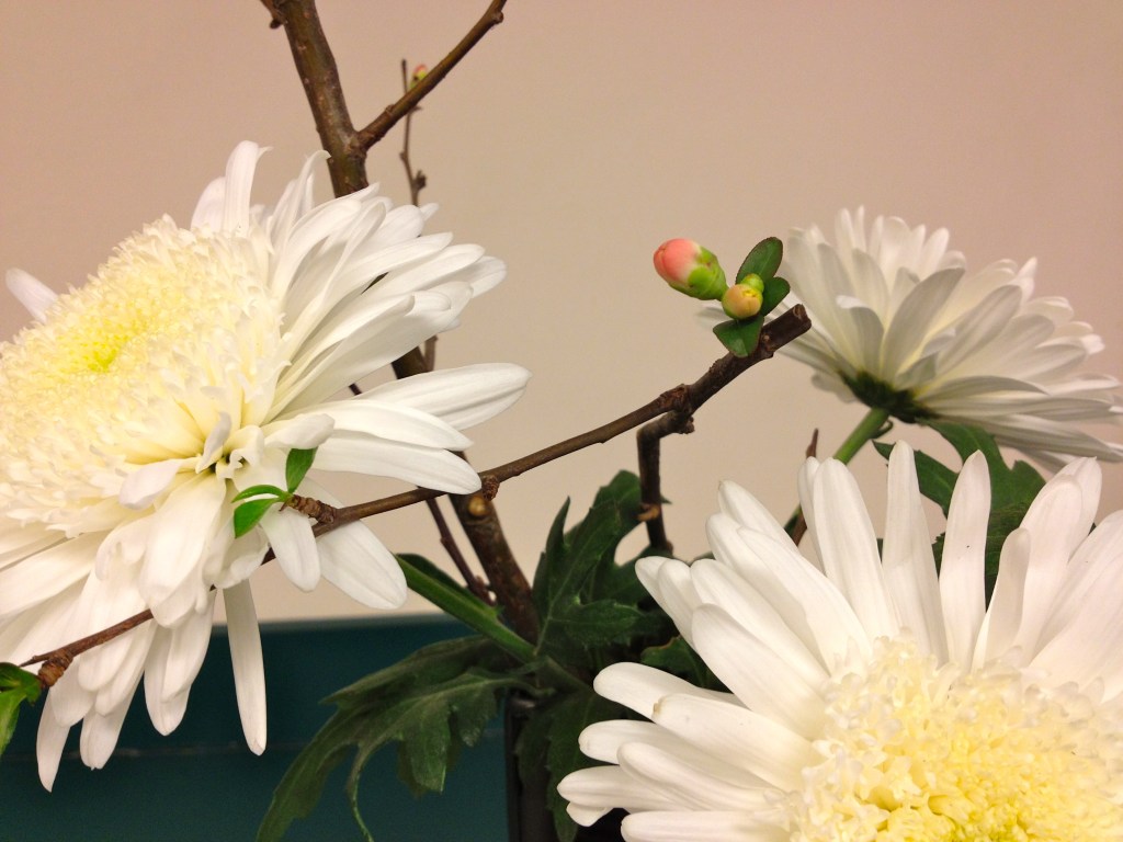 Nageire | roots to blooms