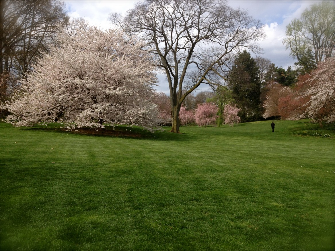 March | 2012 | roots to blooms