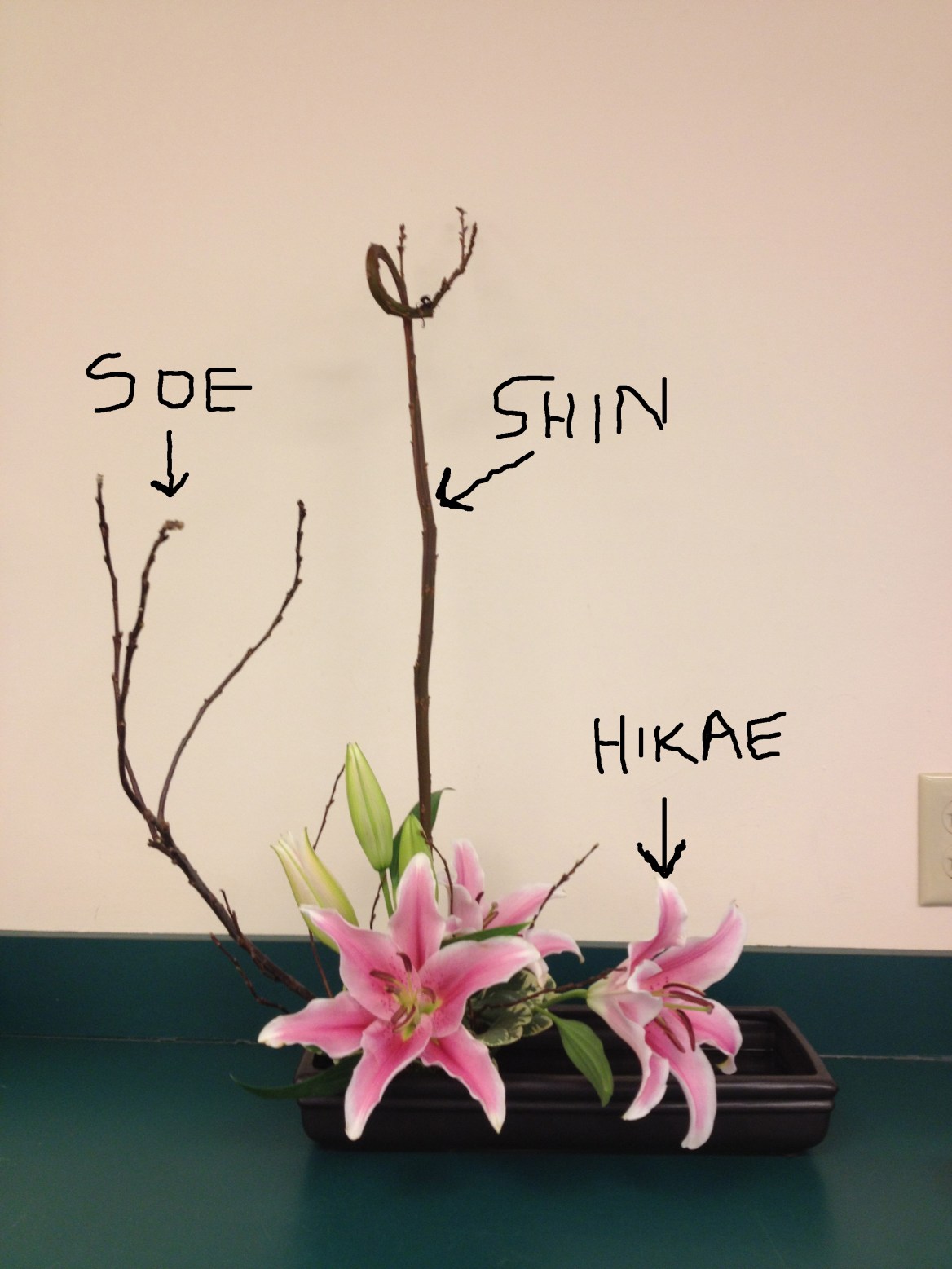 Sogetsu School | roots to blooms