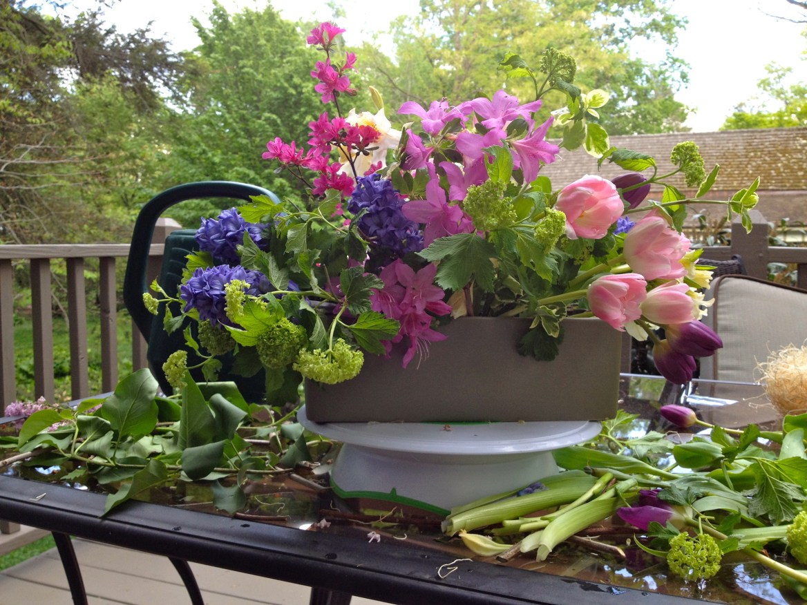 Snowball Viburnum | roots to blooms