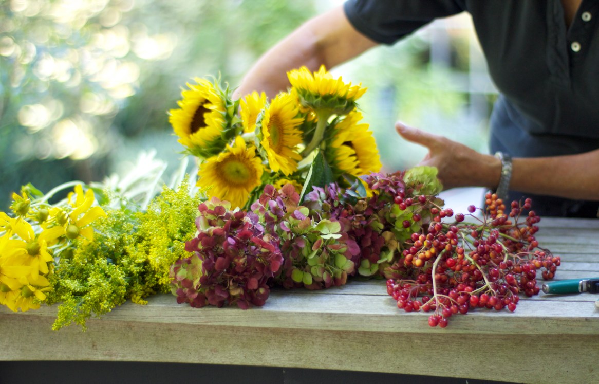 Floral Design | roots to blooms
